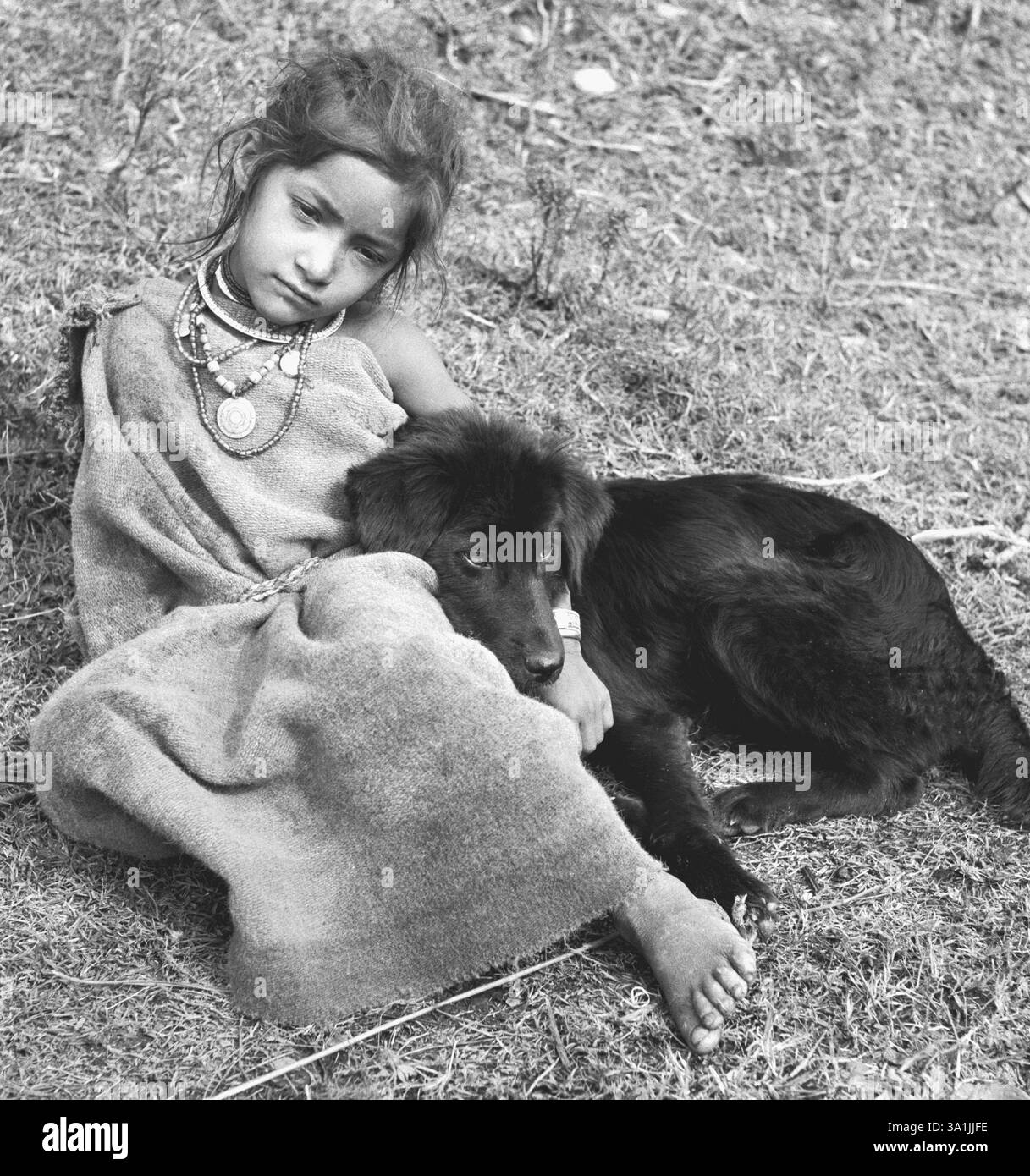 Indian girl dog hi-res stock photography and images - Alamy
