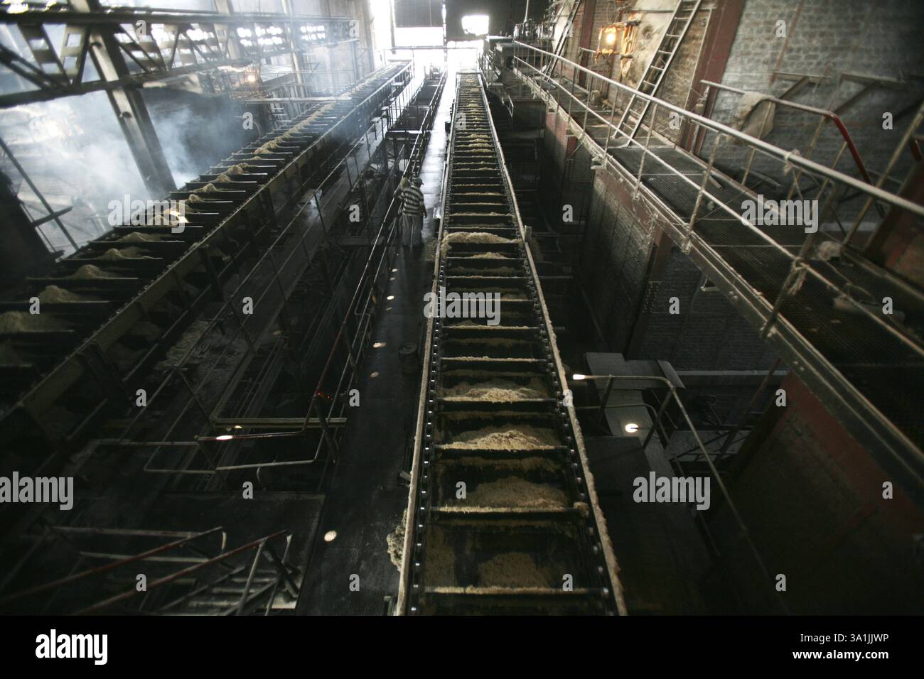 The left over sugar cane on the conveyor belt at the sugar factory in ...