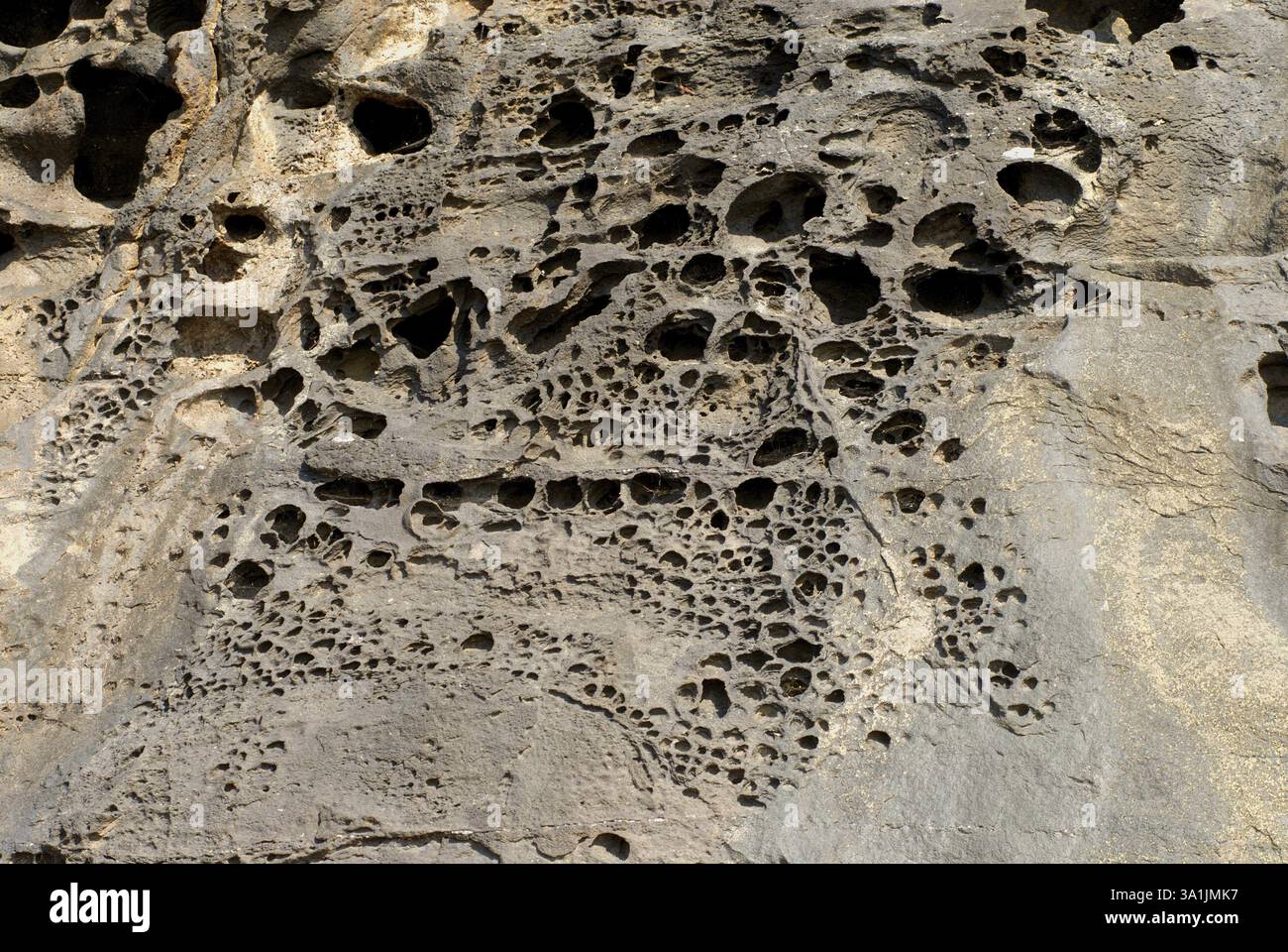 A splendid design made by sea waves on igneous rock of lava from ...