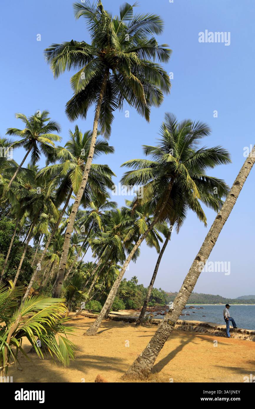 Kabana Beach at Goa, India, Asia Stock Photo - Alamy