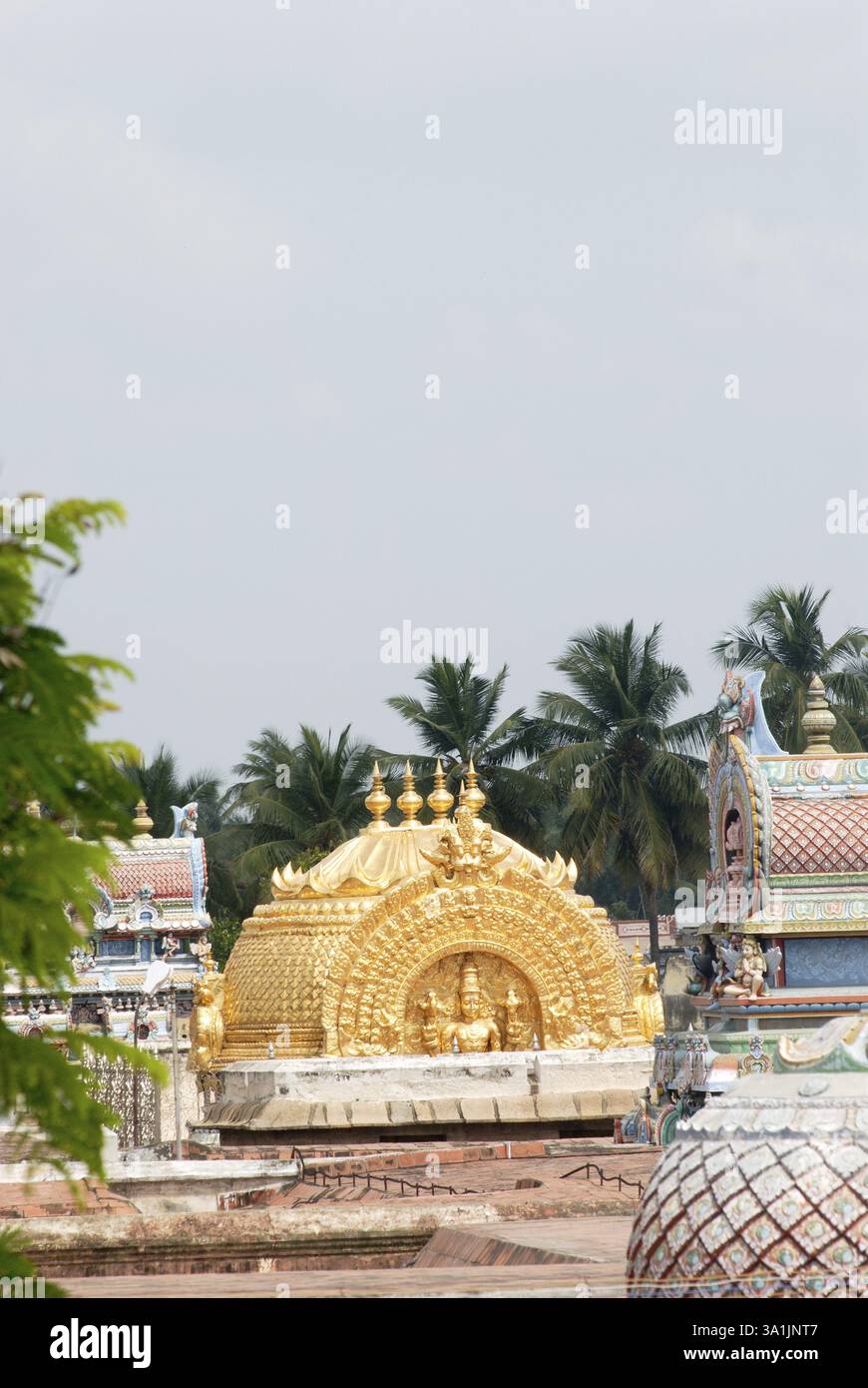 Golden Pranavaakriti Vimana at Sri Ranganathswami temple ...