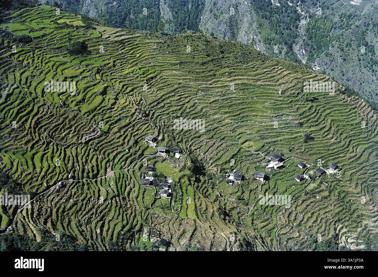 Step-fields NArth of Kathmandu, Nepal, Asia Stock Photo - Alamy