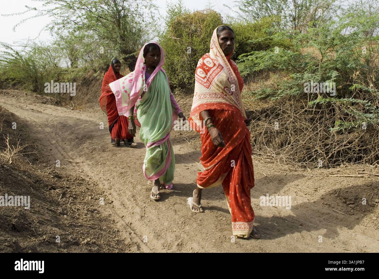Saree covered on head hi-res stock photography and images - Alamy