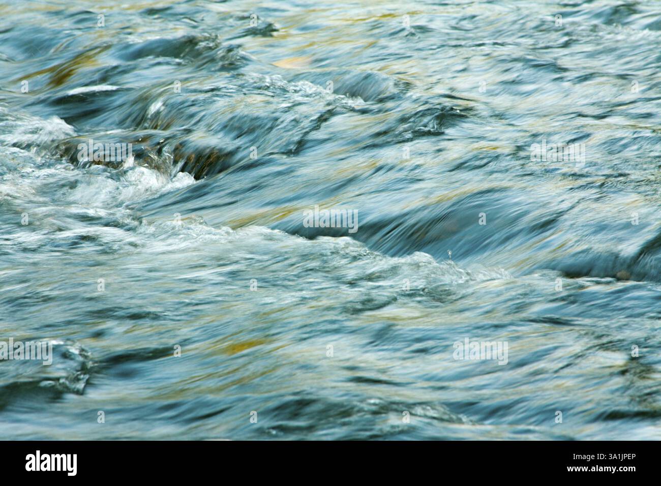 Creative curve and form flow of river water, Sanjay Gandhi National ...