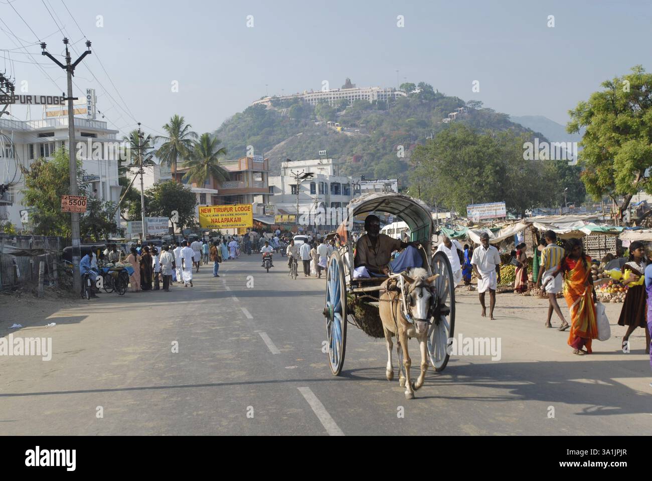 Palani hill temple situated at an elevation of 1500 feet above sea ...