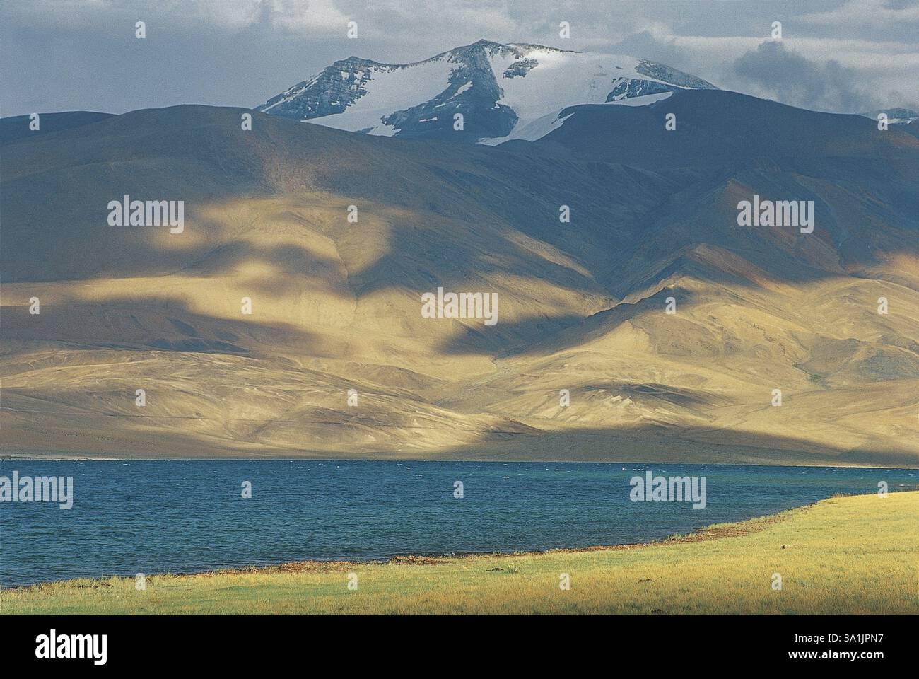 Lake Tso Moriri, Ladakh, Jammu and Kashmir, India, Asia Stock Photo - Alamy