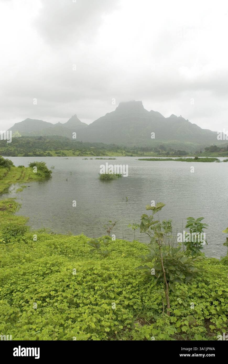 Panvel dam and mountain chanderi in monsoon, Taluka Panvel, district ...