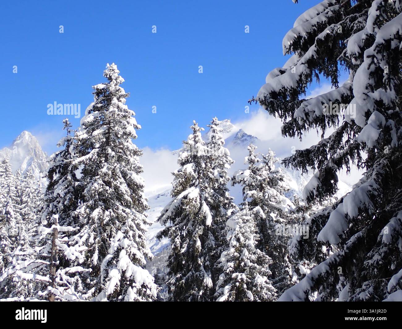 Prise de vue des aiguilles en face du domaine de la Flégère à Chamonix ...
