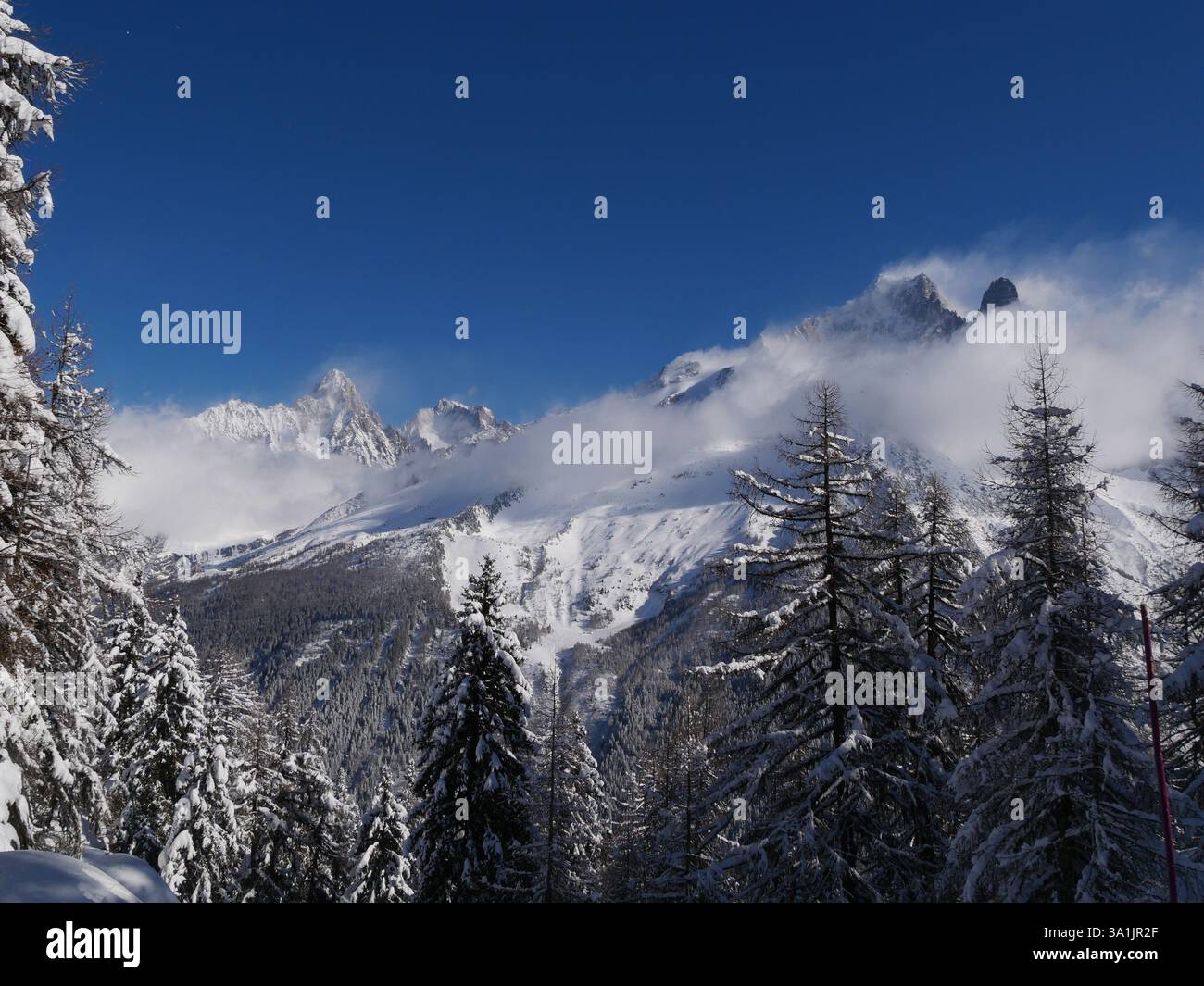 Prise de vue des aiguilles en face du domaine de la Flégère à Chamonix ...