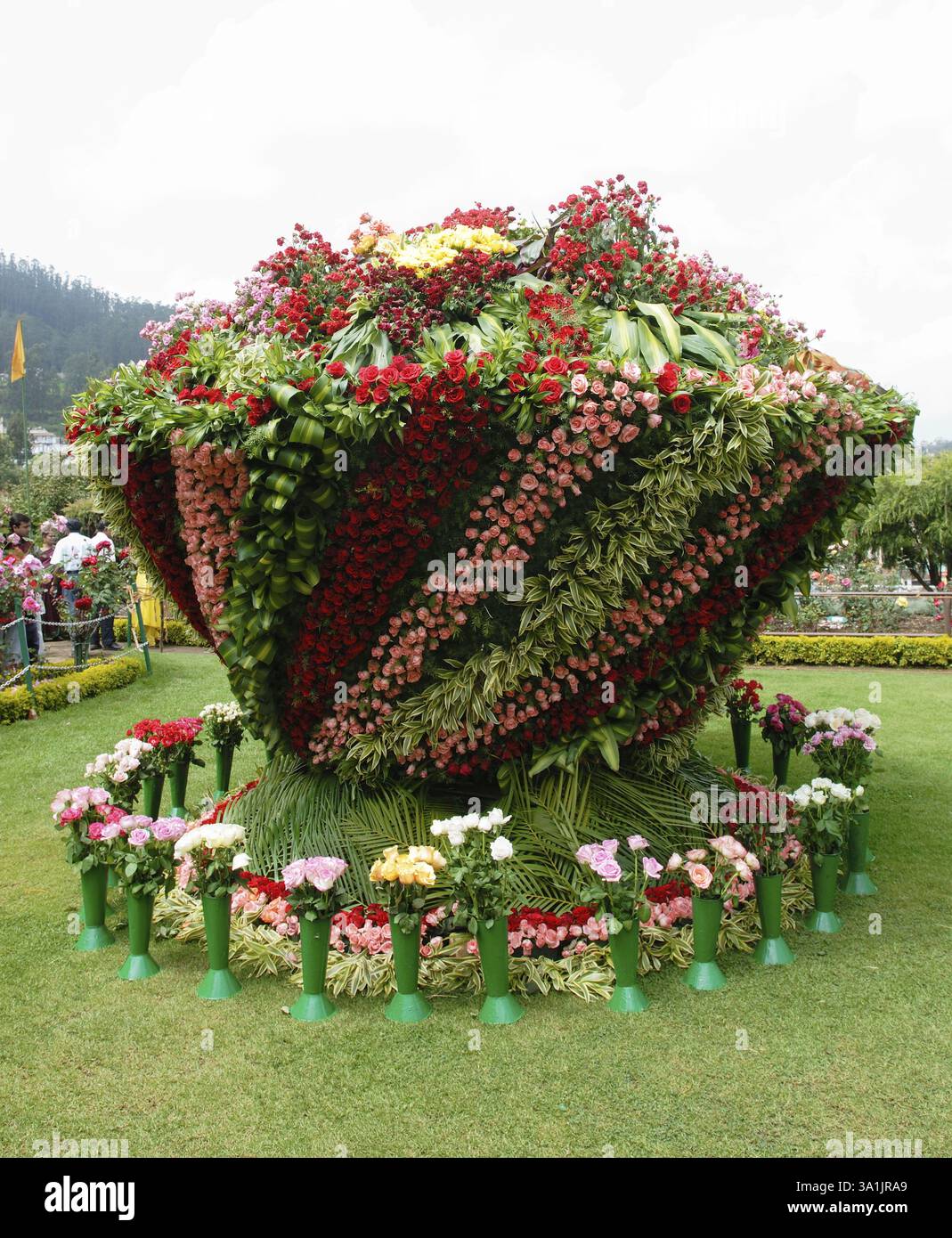 The Centenary rose garden or Vijayanagaram rose garden, Ooty, Tamil ...