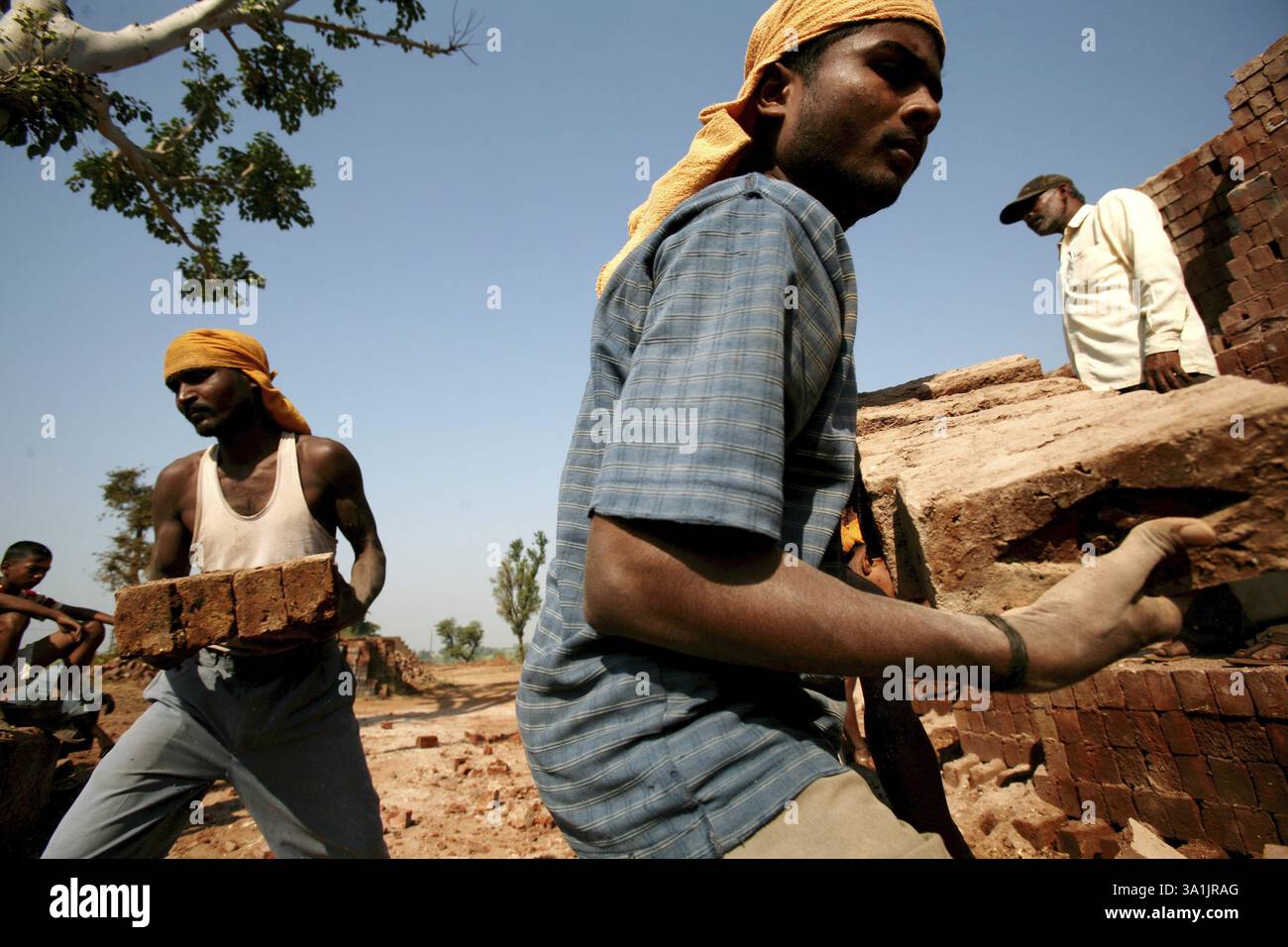Worker arranging bricks at the brick factory in a village of Sangli ...