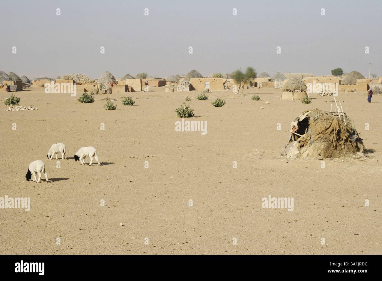 Village Ganga at Sam Thar desert safari sand dunes, Jaisalmer ...