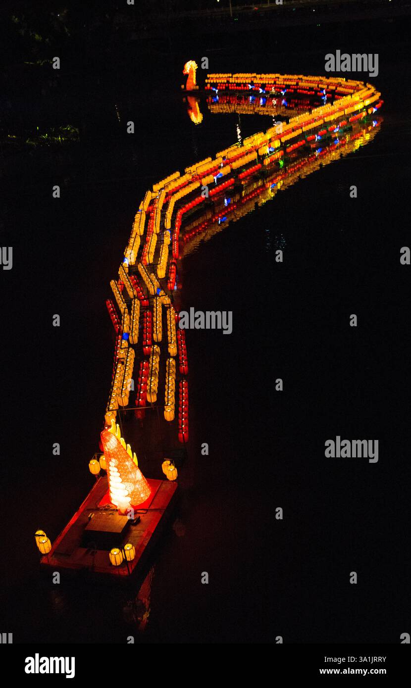 ZHANGZHOU, CHINA - JANUARY 5, 2025 - A 100-meter-long "Golden Snake ...