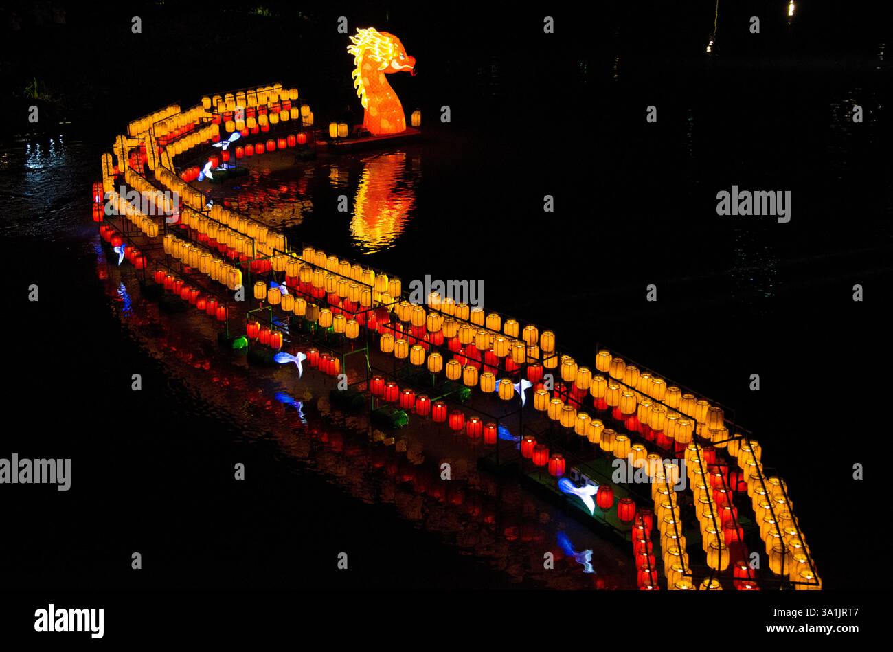 ZHANGZHOU, CHINA - JANUARY 5, 2025 - A 100-meter-long "Golden Snake ...