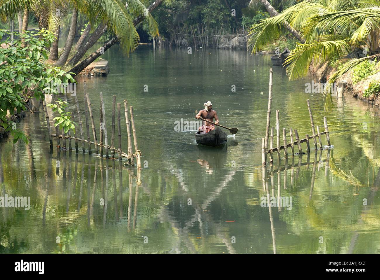 Boating in backwater, Kerala, India, Asia Stock Photo - Alamy
