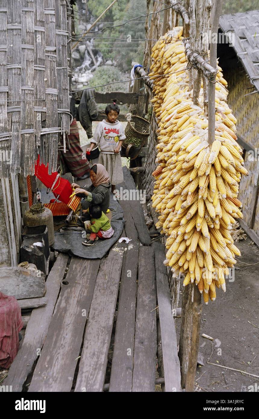 Rural life scene, India, Asia Stock Photo - Alamy