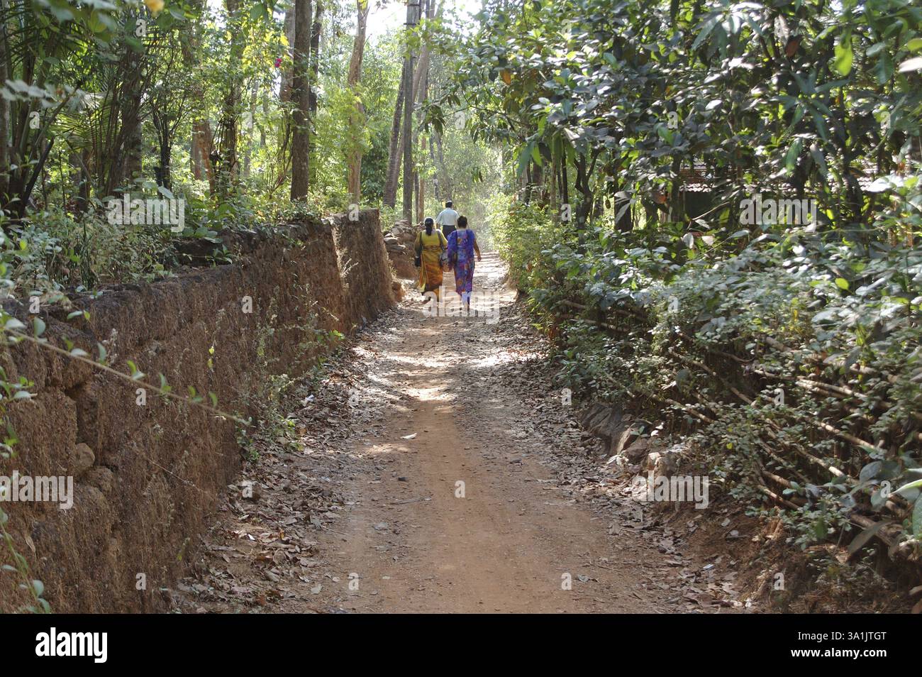 Small mud road in remote area of Sindhudurga district at Kharwatkarache ...