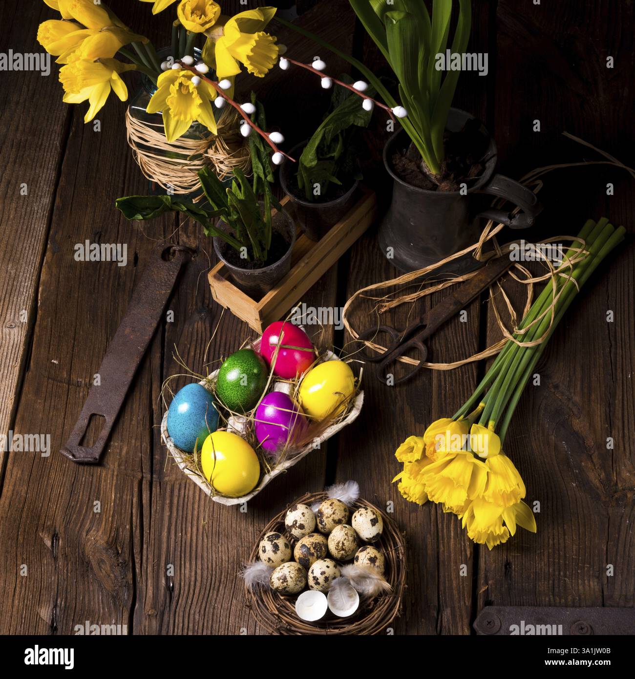 Easter eggs and daffodils Stock Photo - Alamy