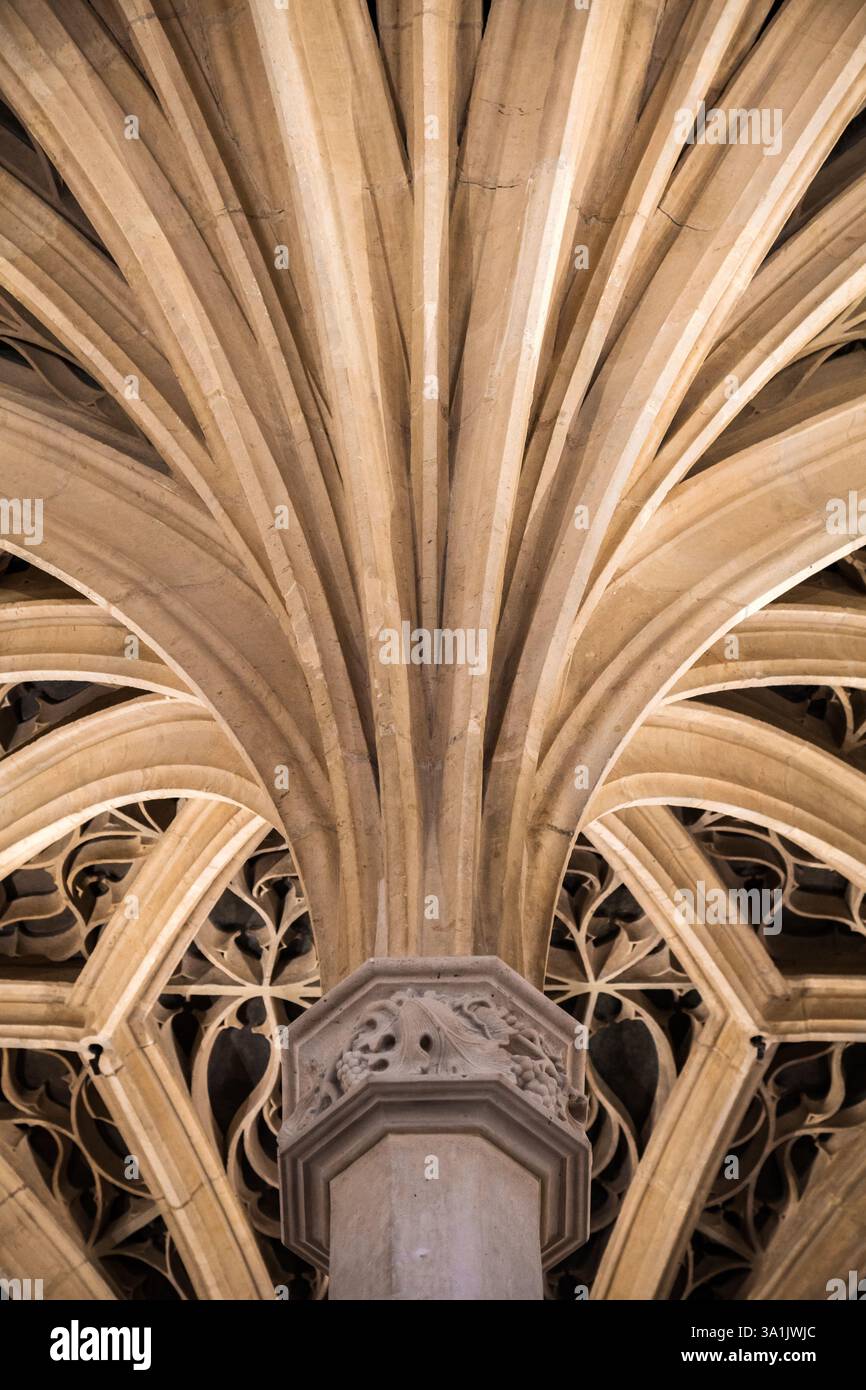 The ornate design of a vaulted ceiling showcases detailed stonework and ...