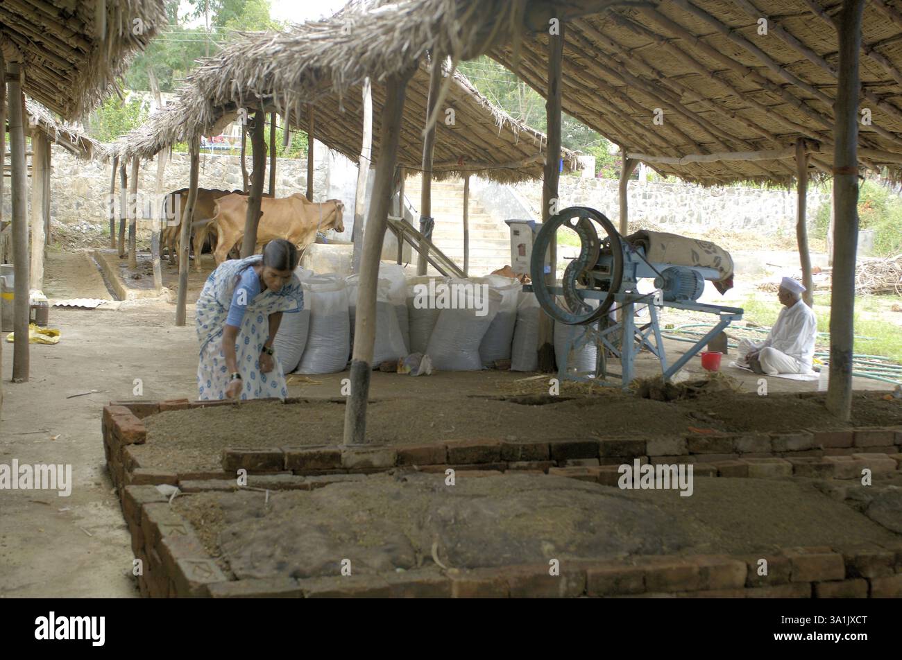Vermiculture at Ralegan Siddhi near Pune, Maharashtra, India, Asia ...