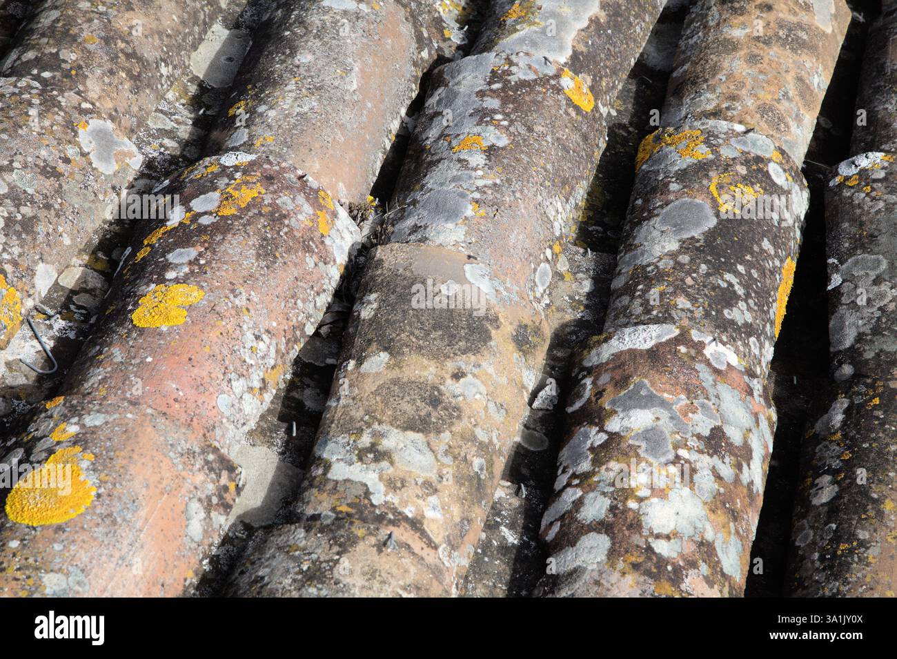 Old roof tiles feature a wavy arrangement, revealing textures, colors ...