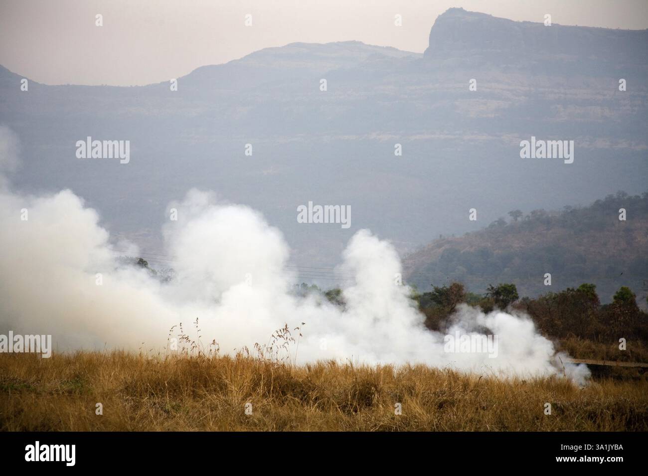 Smoke in a wheat field mountain range in background, Karjat ...