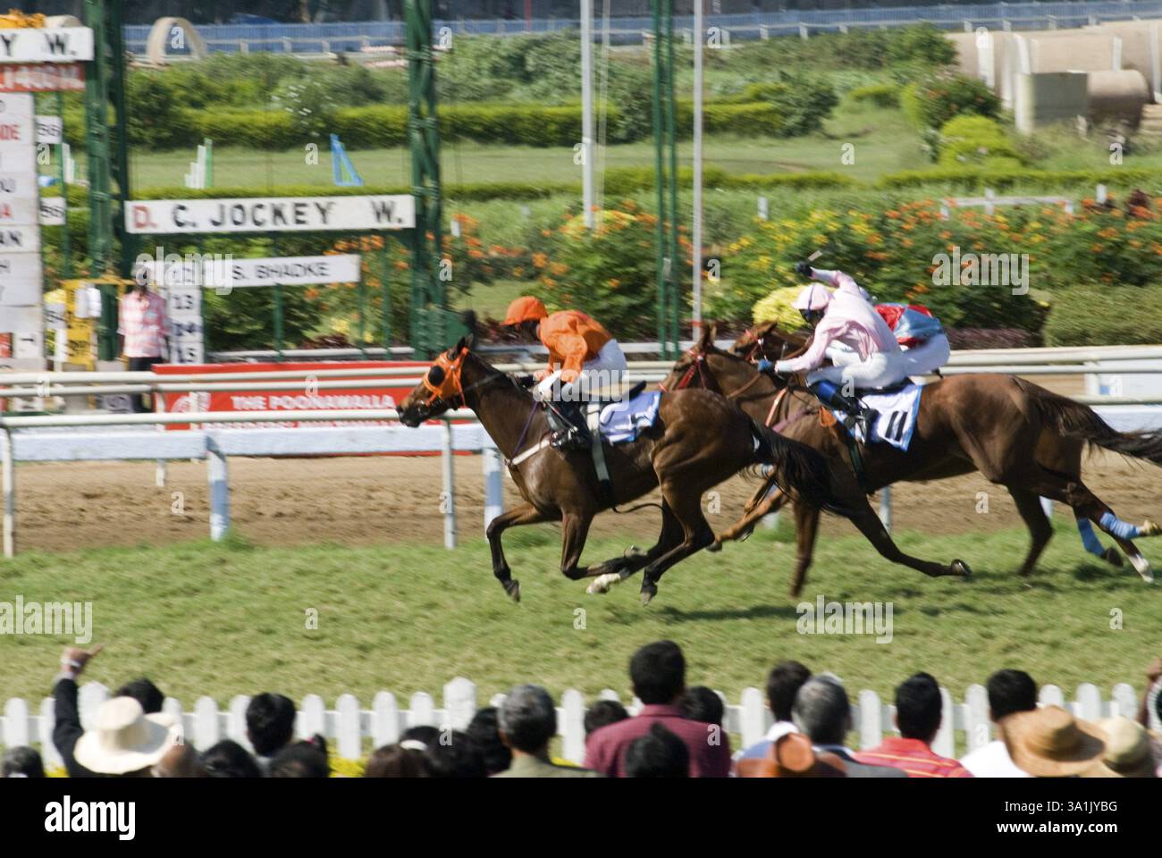Horse races at mahalaxmi racecourse mumbai, Bombay Mumbai, Maharashtra ...