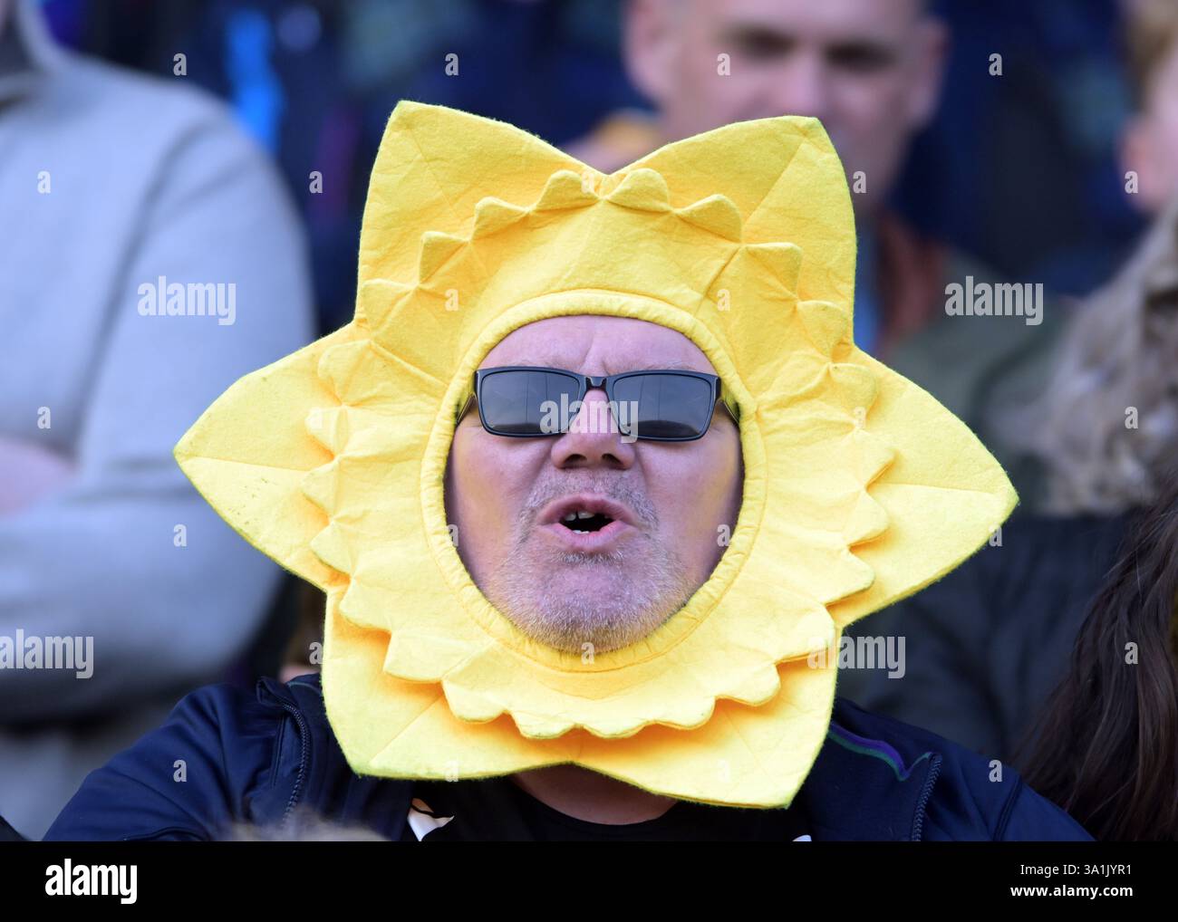Edinburgh, Scotland, 8th March 2025. A Welsh fan during the Six Nations ...