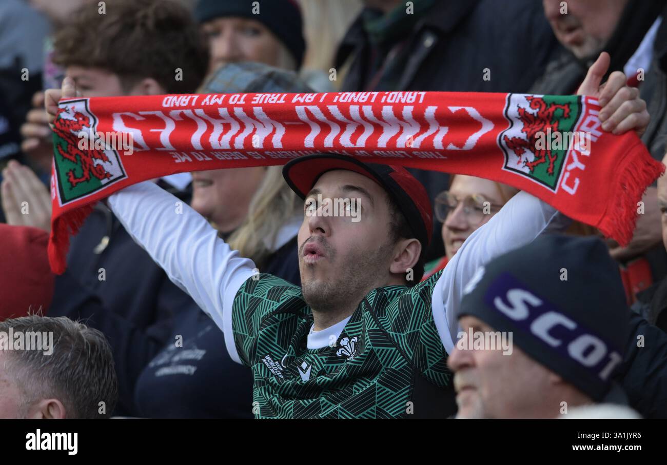 Edinburgh, Scotland, 8th March 2025. A Welsh fan during the Six Nations ...