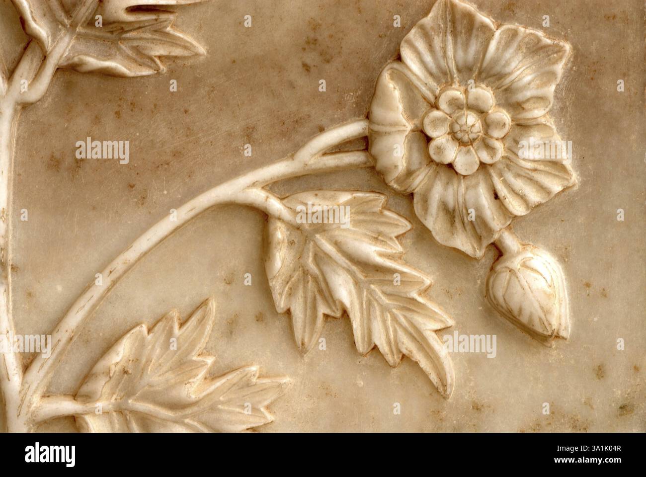 Floral patterns on Taj mahal, Agra, Uttar Pradesh, India, Asia Stock ...