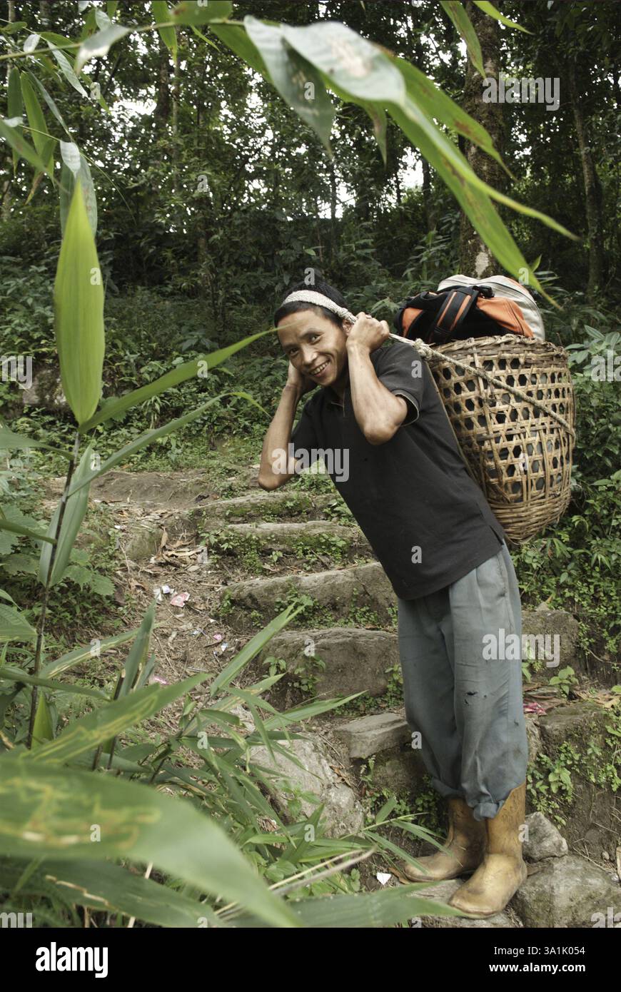Rural man carrying bucket, Pastanga, Sikkim, India, Asia Stock Photo ...