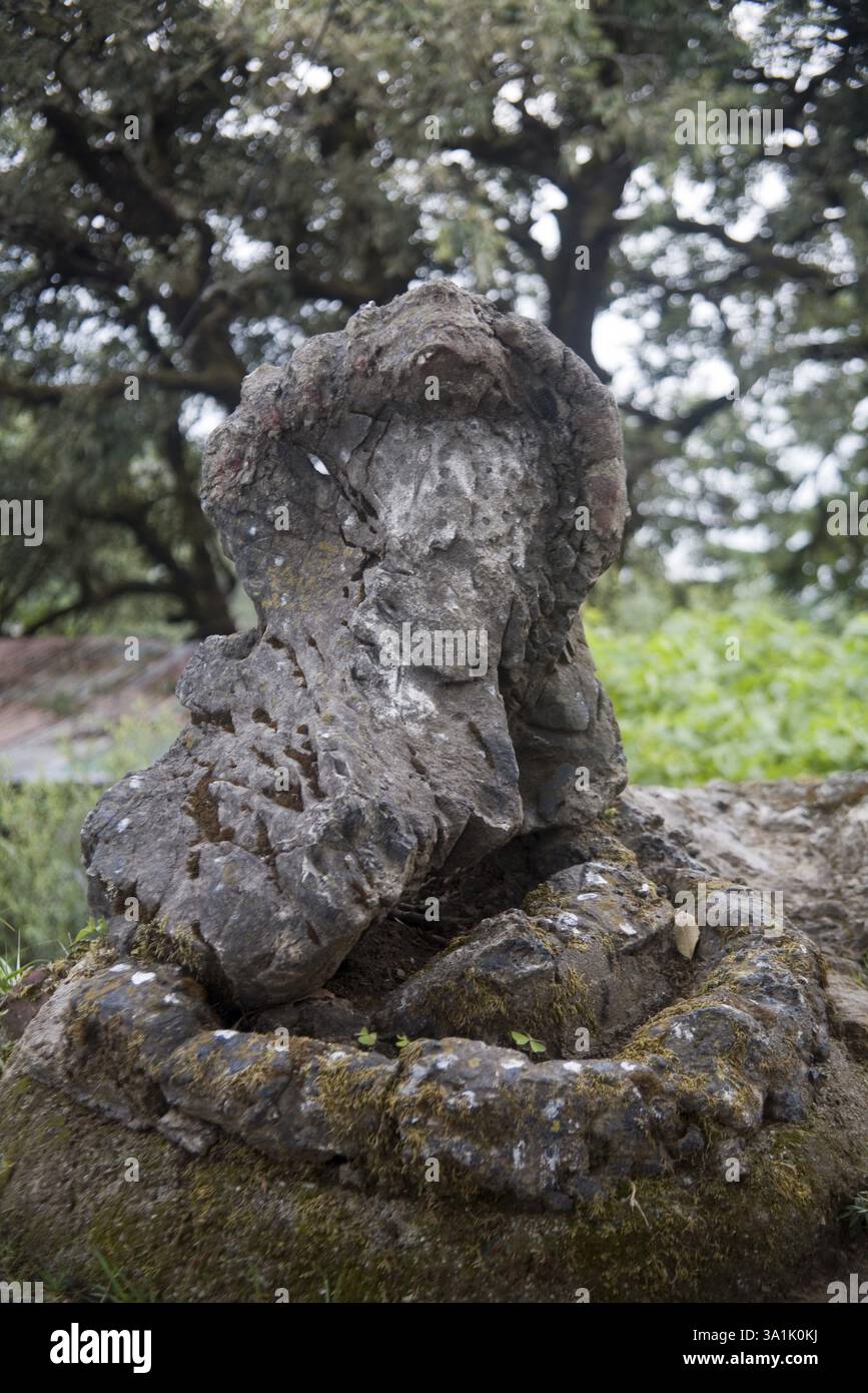 Natural stone in abstract shape, Himalaya, Mussoorie, Uttaranchal ...
