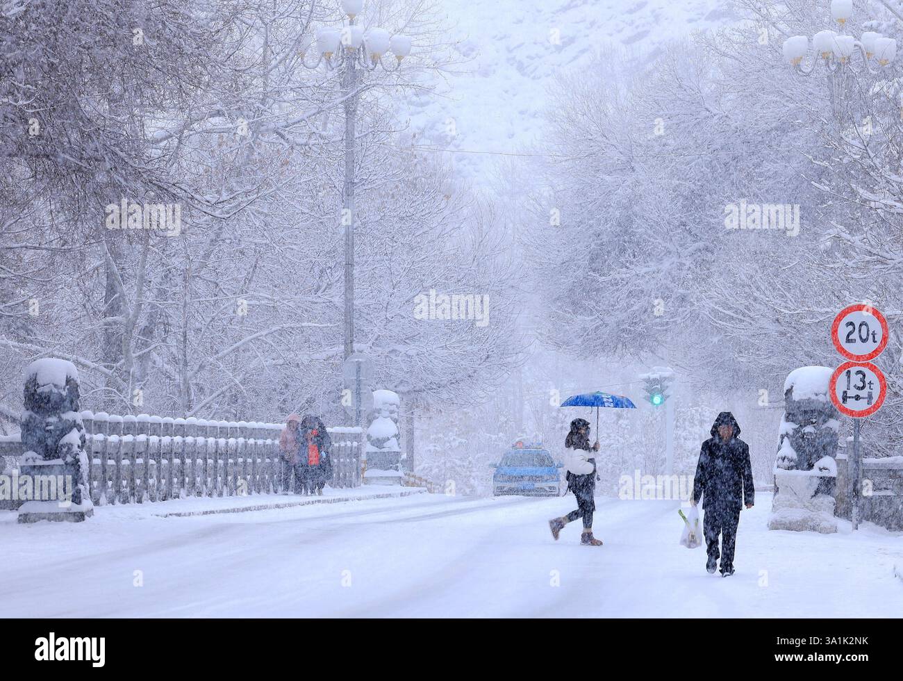 Altay, China. 09th Mar, 2025. ALTAY, CHINA - MARCH 9, 2025 - People ...