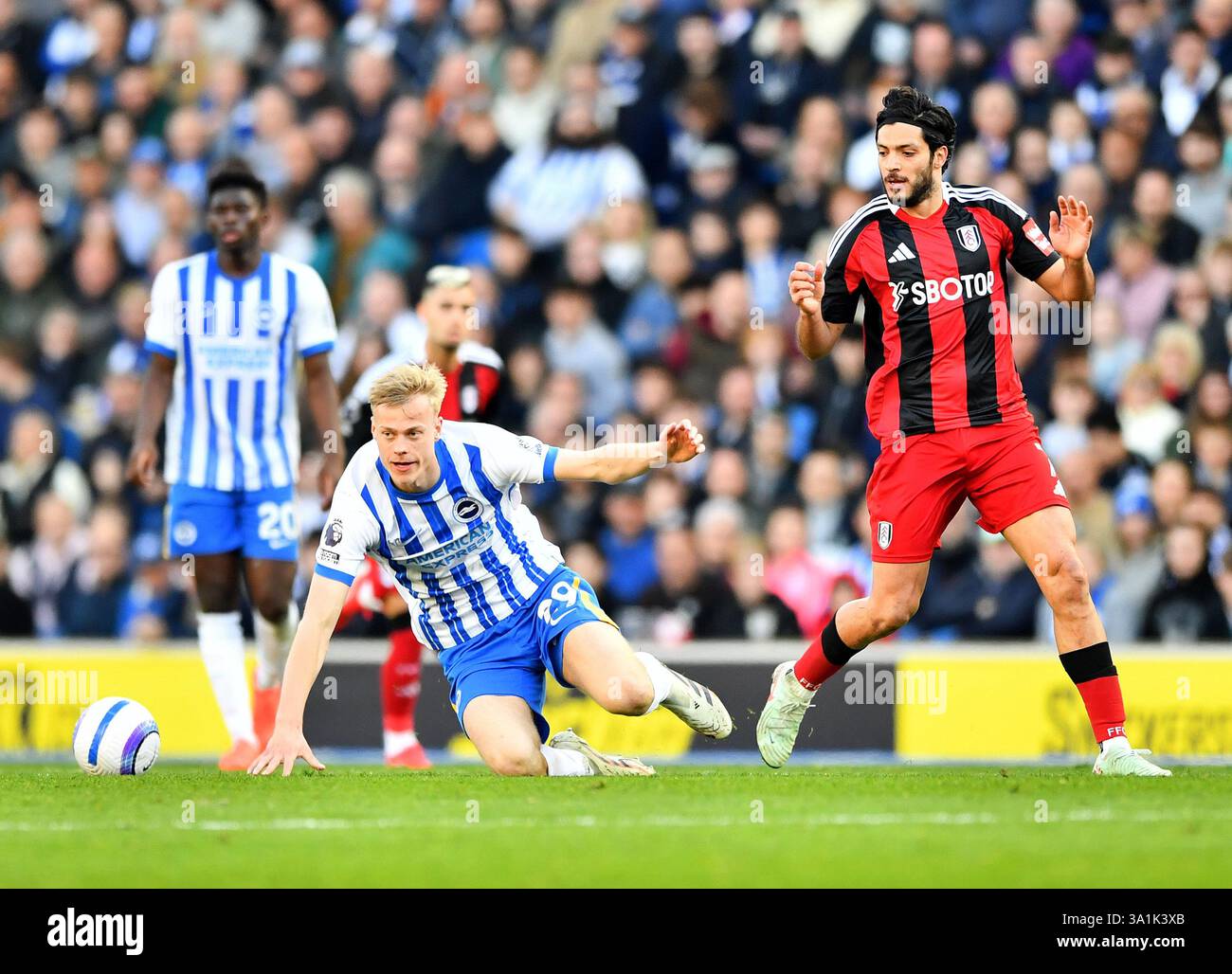 Jan Paul van Hecke of Brighton & Hove Albion and Raul Jimenez of Fulham ...