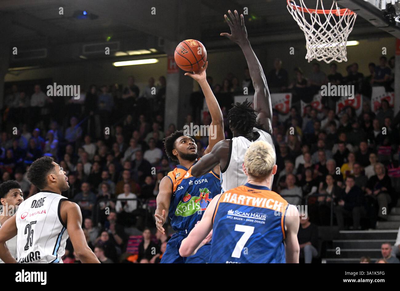 Hamburg, Germany. 08th Mar, 2025. Hamburg Towers - Rostock Seawolves ...