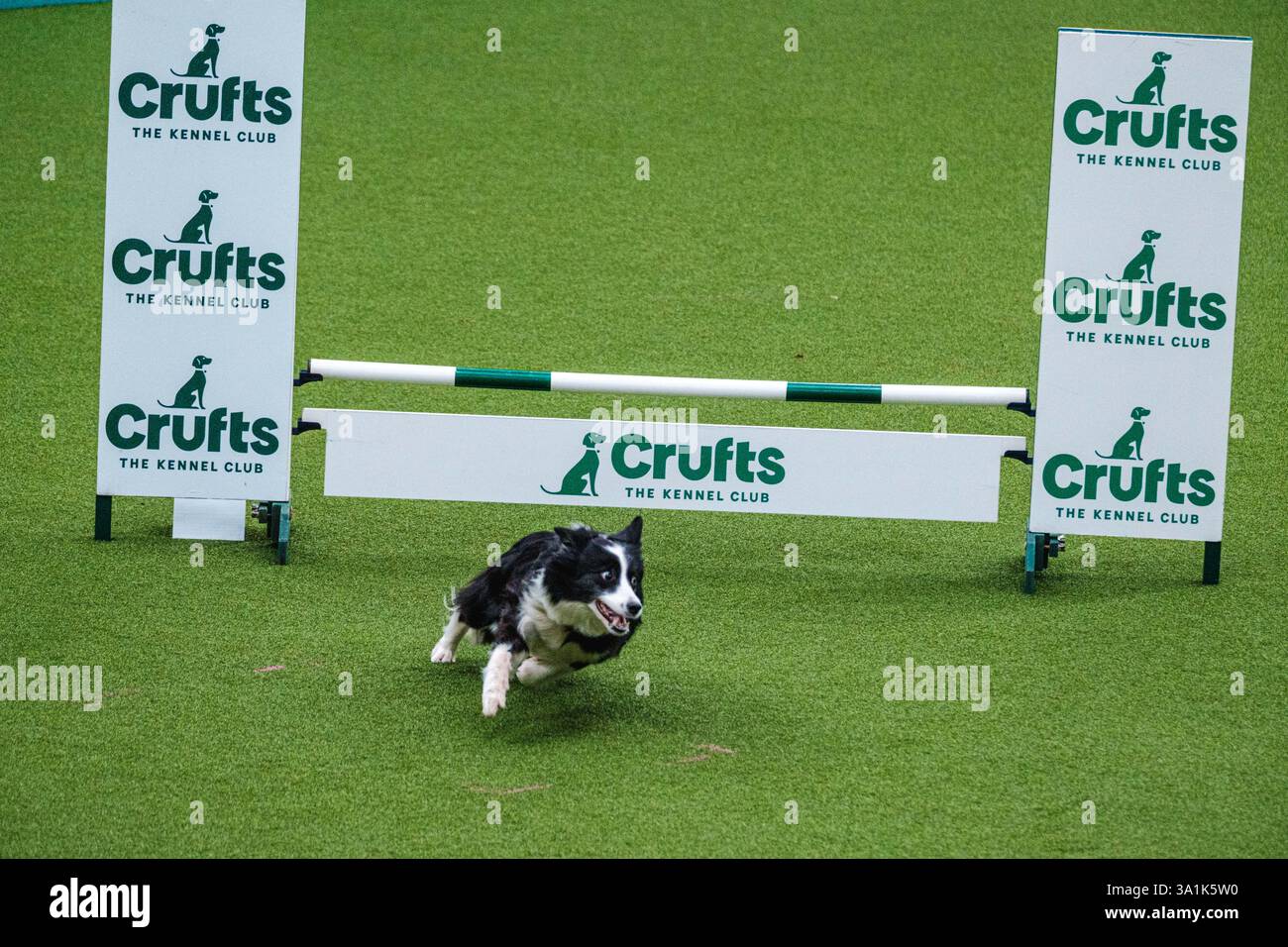 Birmingham, UK. 9th Mar 2025. Birmingham, UK. 9th Mar 2025. Crufts 2025 ...