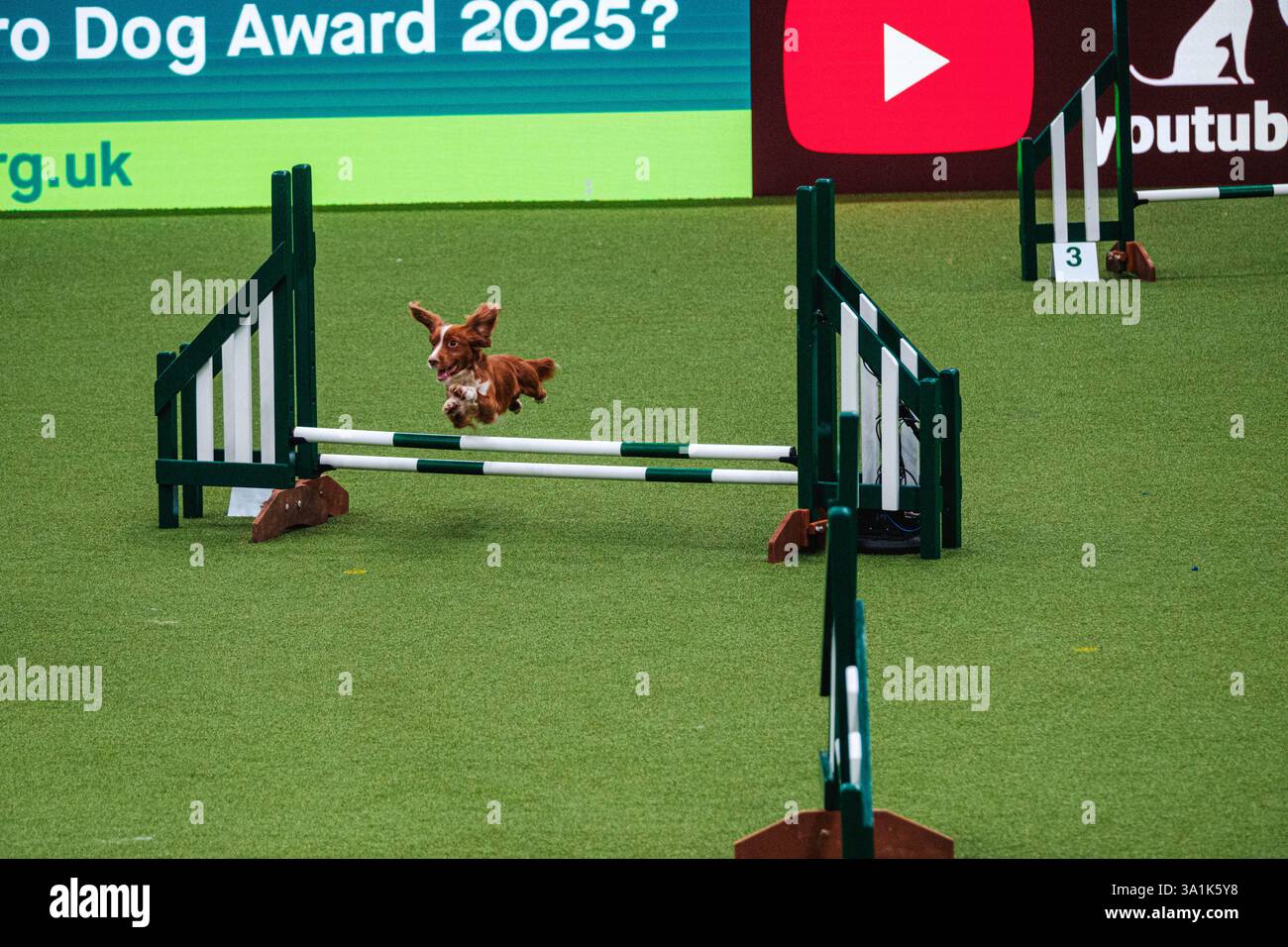 Birmingham, UK. 9th Mar 2025. Birmingham, UK. 9th Mar 2025. Crufts 2025 ...