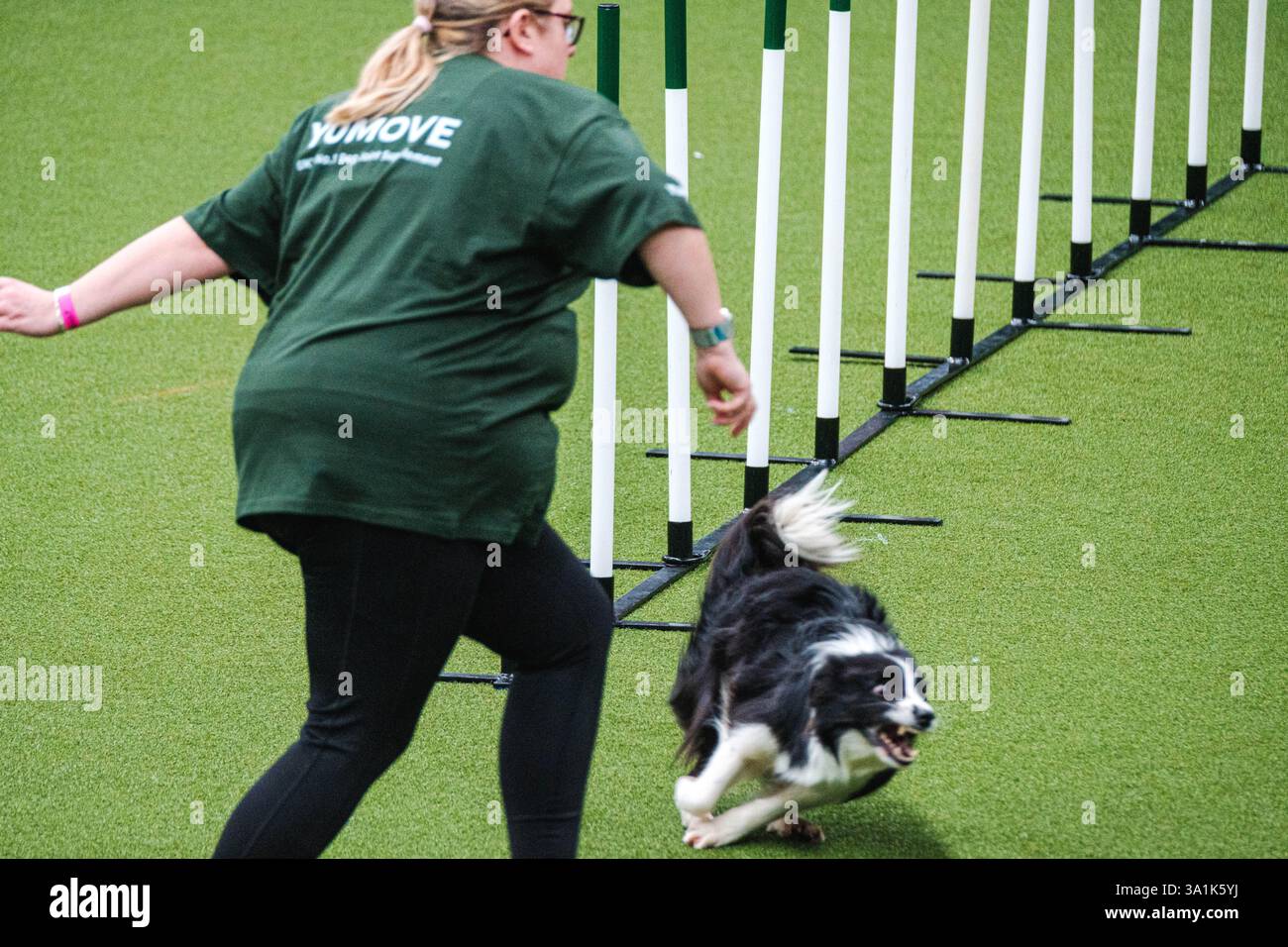 Crufts 2025 Agility – Championships – Small/Medium (Jumping ...