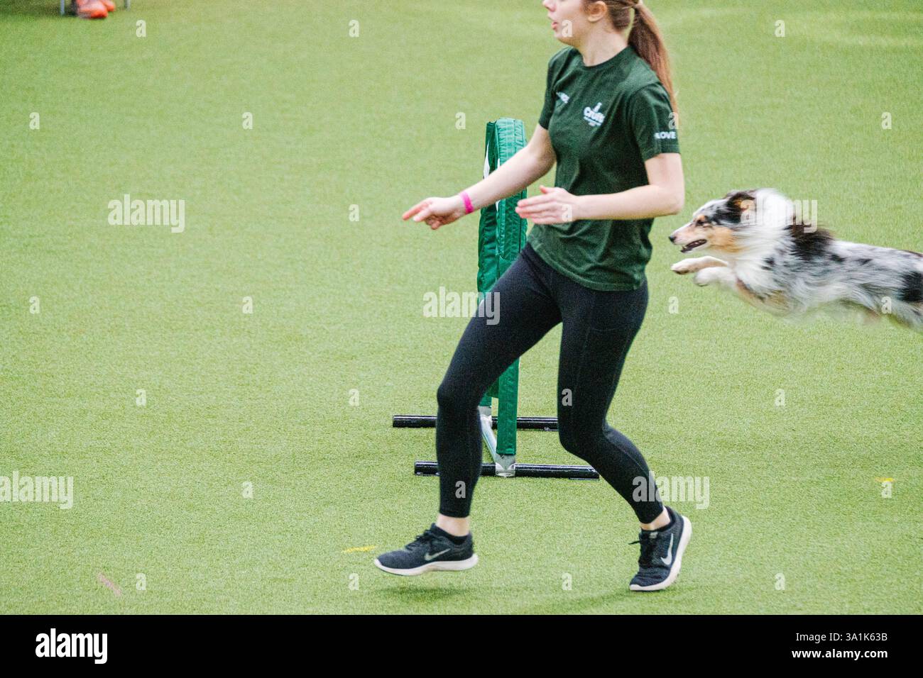 Birmingham, UK. 9th Mar 2025. Birmingham, UK. 9th Mar 2025. Crufts 2025 ...