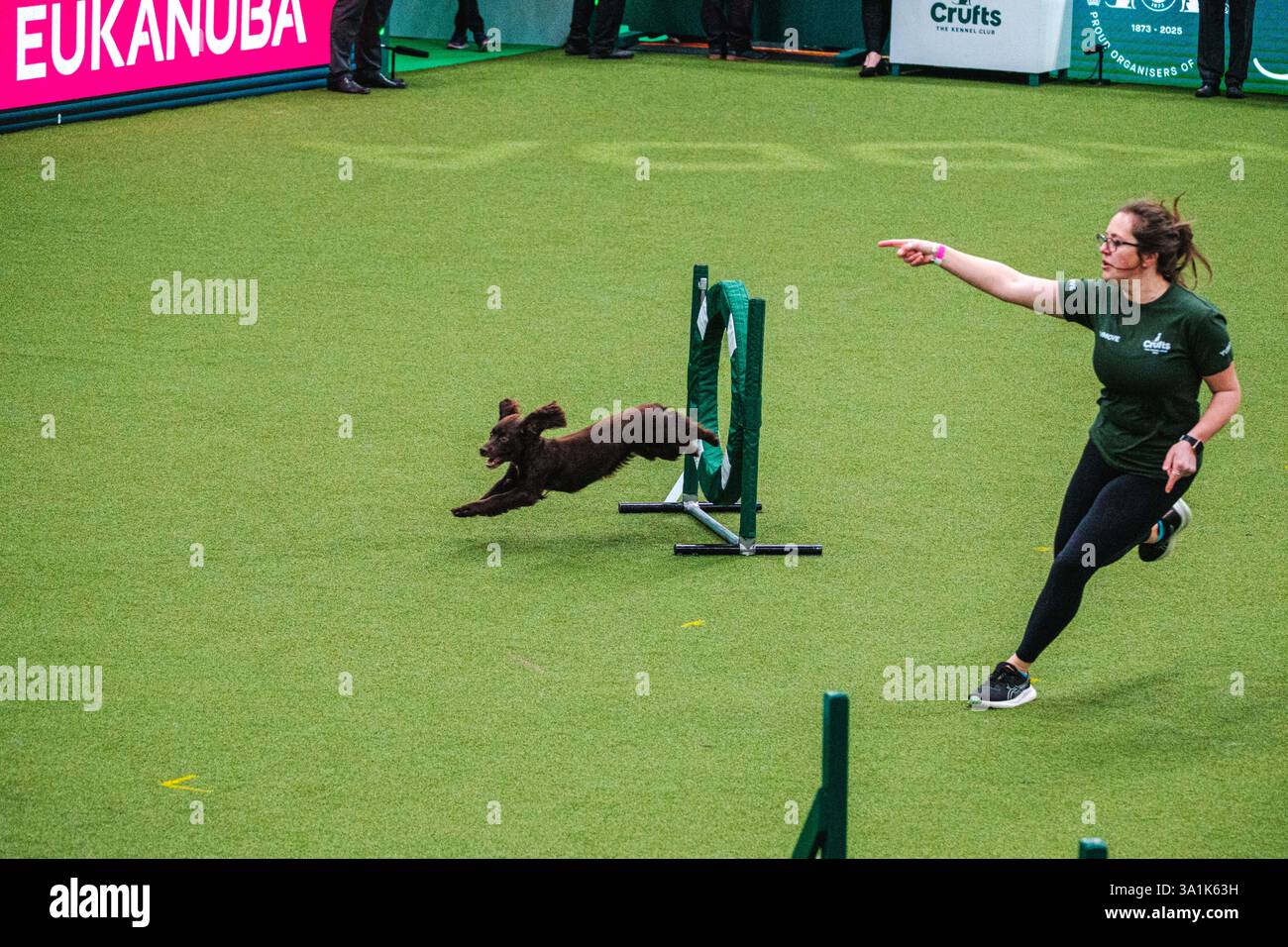 Birmingham, UK. 9th Mar 2025. Birmingham, UK. 9th Mar 2025. Crufts 2025 ...