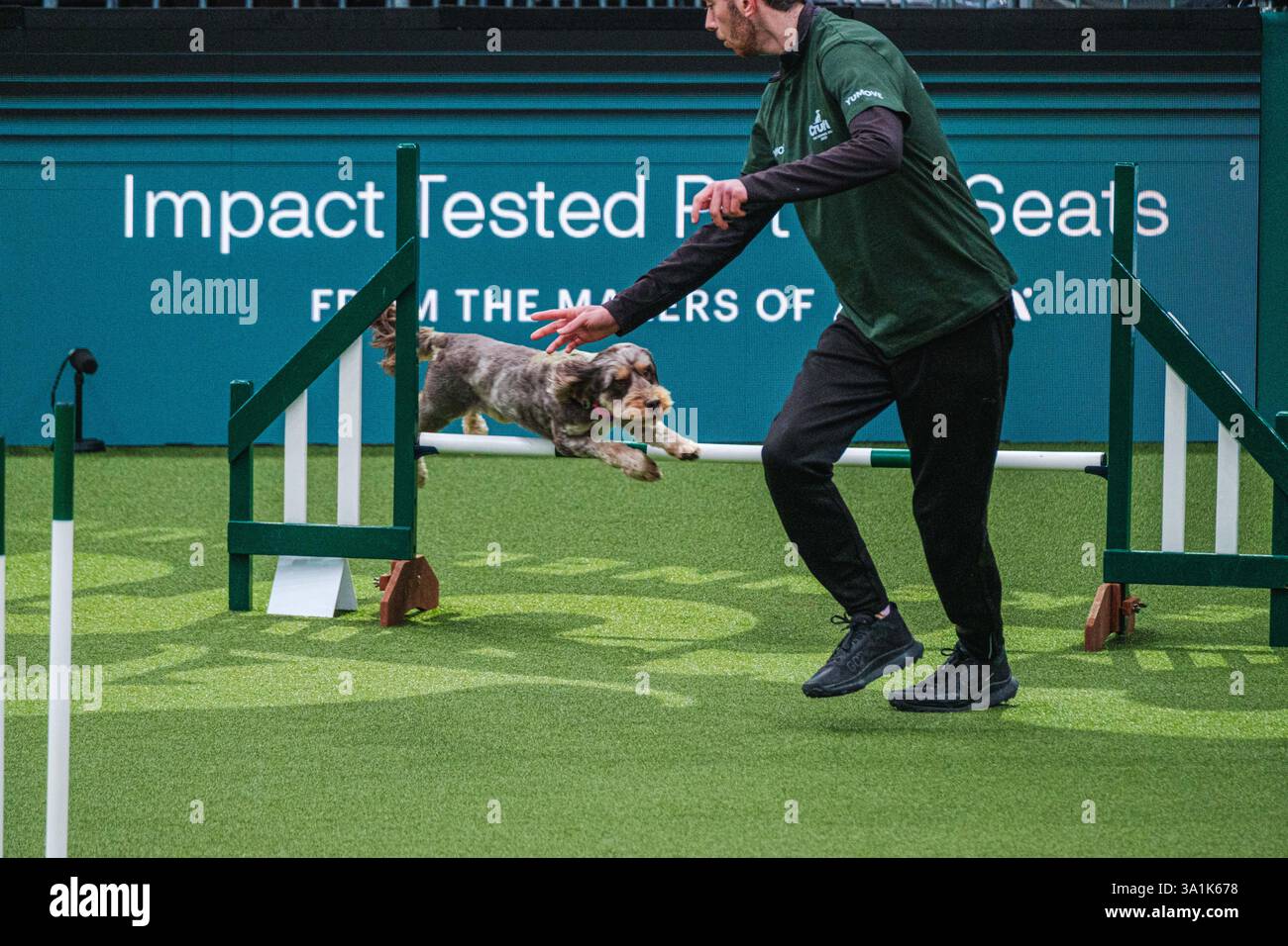 Birmingham, UK. 9th Mar 2025. Birmingham, UK. 9th Mar 2025. Crufts 2025 ...