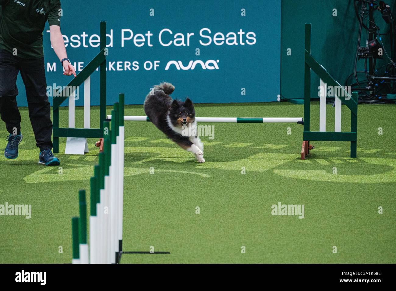 Birmingham, UK. 9th Mar 2025. Birmingham, UK. 9th Mar 2025. Crufts 2025 ...