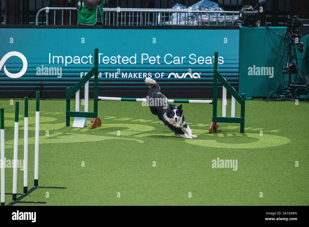 Crufts 2025 Agility – Championships – Small/Medium (Jumping), Birmingham, United Kingdom 09/03 ...