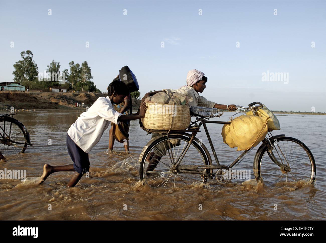 Men carrying load on cycle, Garwa and Latehar, Jharkhand, India, Asia ...