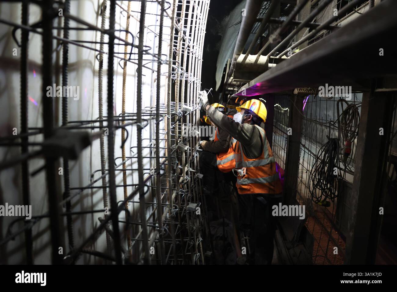 (250309) -- LINXIA, March 9, 2025 (Xinhua) -- Staff members work on the ...