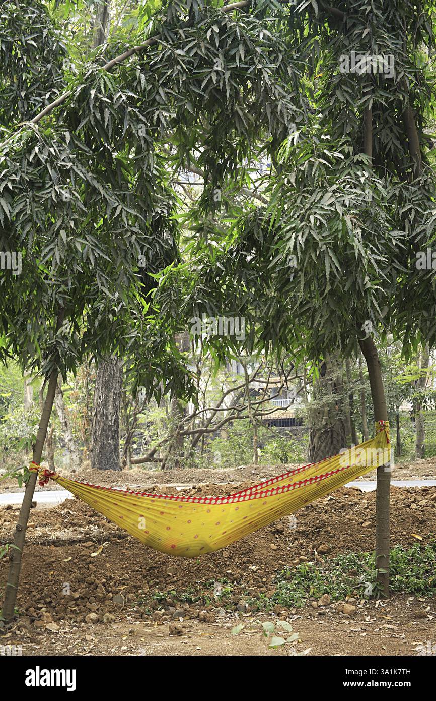 Cradle hanging between two tree in Sanjay Gandhi National Park ...
