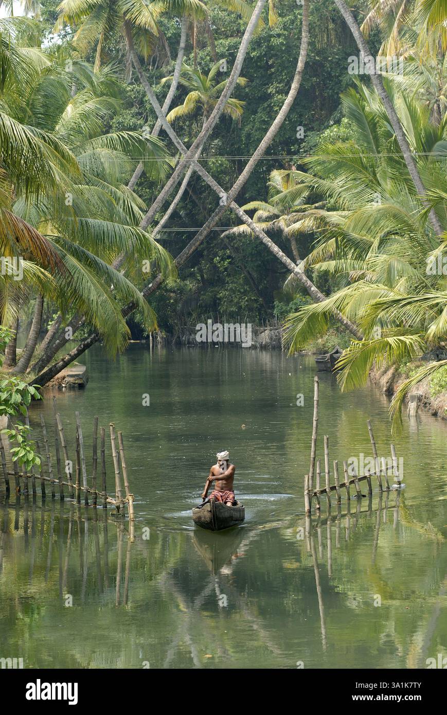 Boating in backwater, Kerala, India, Asia Stock Photo - Alamy