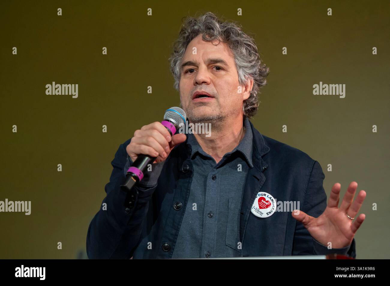 New York, United States. 08th Mar, 2025. Mark Ruffalo attends a rally ...