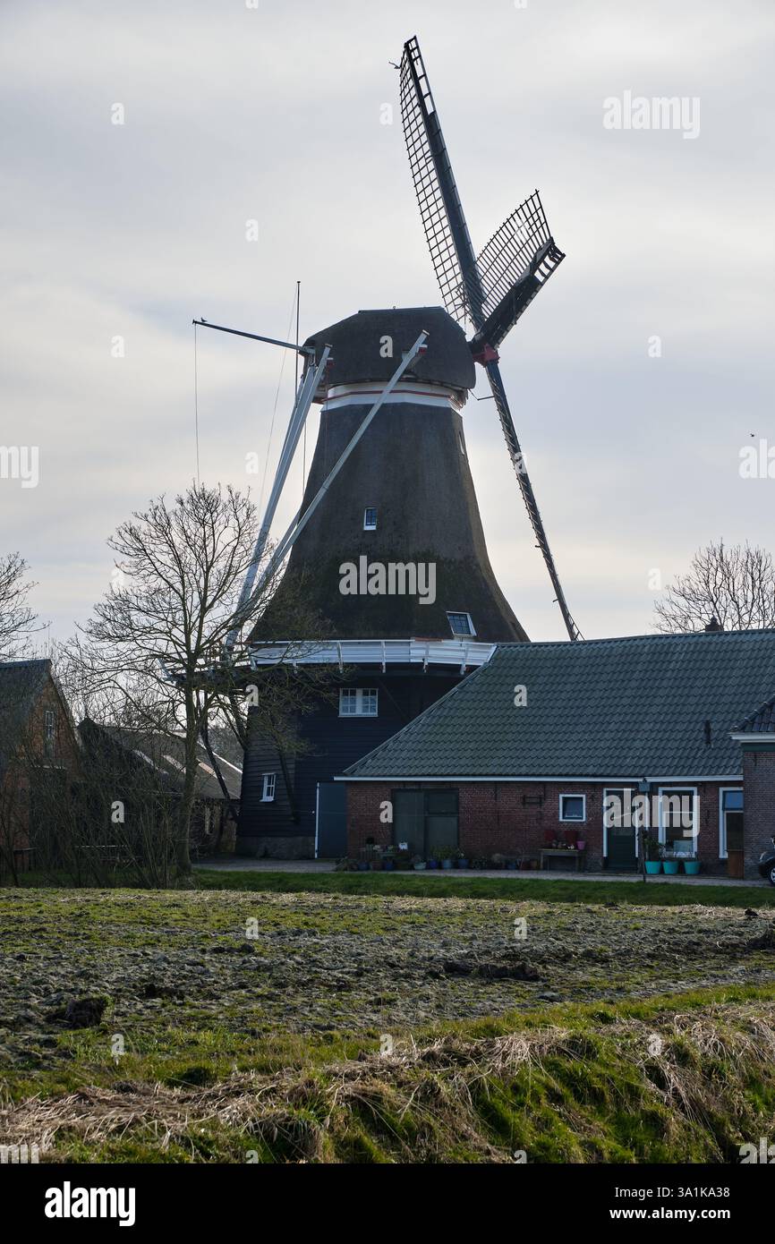 Historic hulling and grist mill De Hoop in Holwerd, Friesland, with ...