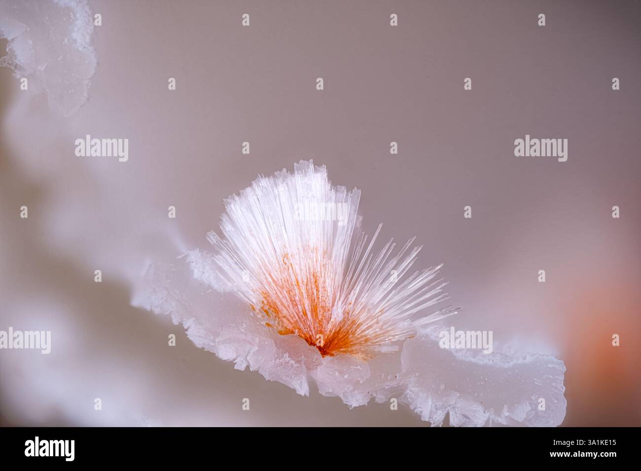 Ferrierite hi-res stock photography and images - Alamy